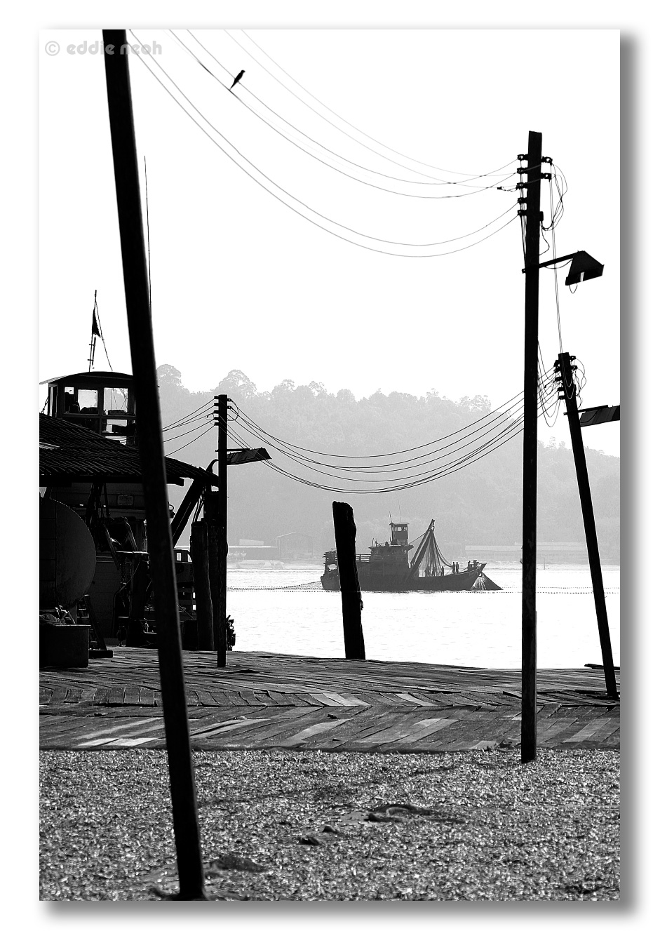 wp0141-m.jpg